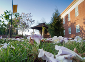 Login - Armstrong State University